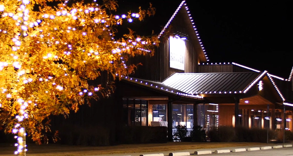 Lighting the Market – Farmview Market