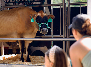 Farmview Market | Farmers Market Madison GA | Meat Near Me Georgia